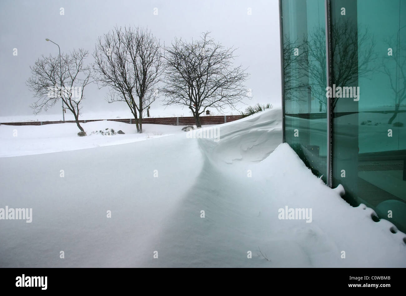 trees reflecting on modern building at winter Stock Photo - Alamy