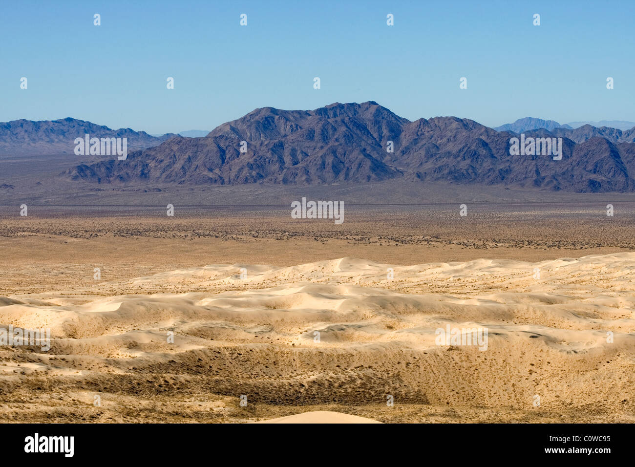 Mojave desert hi-res stock photography and images - Alamy