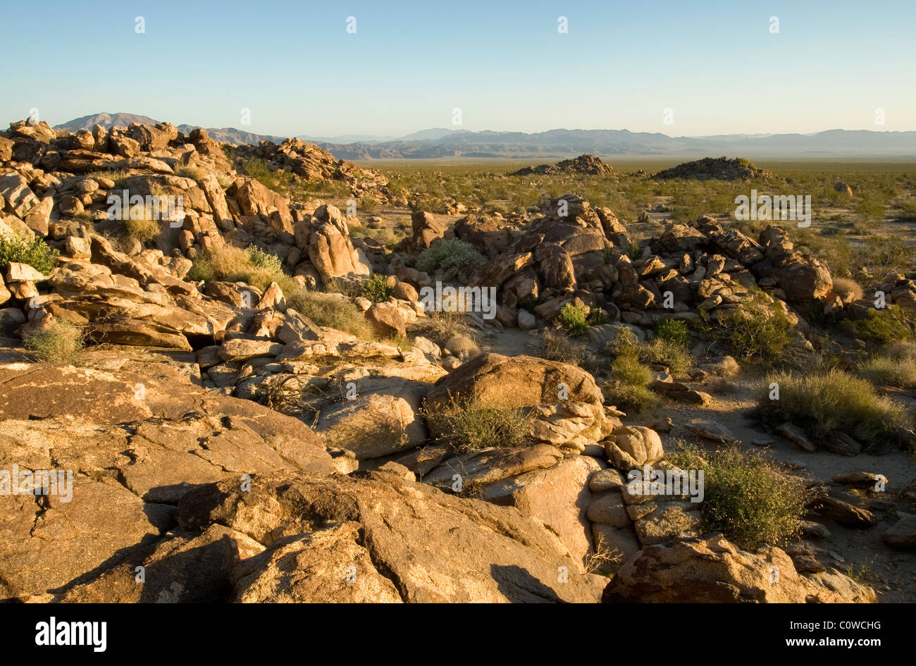 Mojave desert hi-res stock photography and images - Alamy