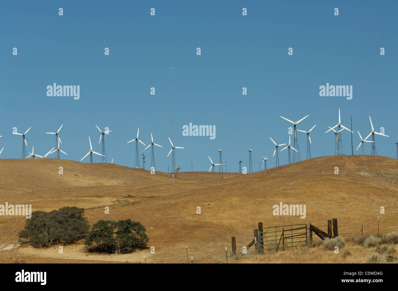 Wind Farm, Wind Turbines, Tehachapi, California Stock Photo - Alamy