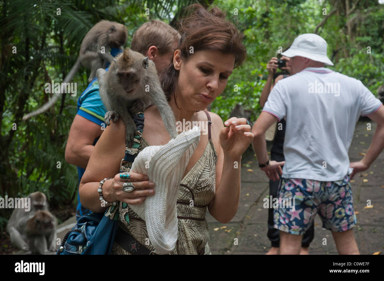Tourists with long-tailed macacques in the Monkey Forest in Ubud Bali ...