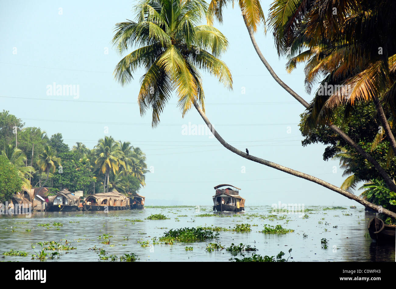 Resort Houseboat Kerala Backwaters High Resolution Stock Photography ...