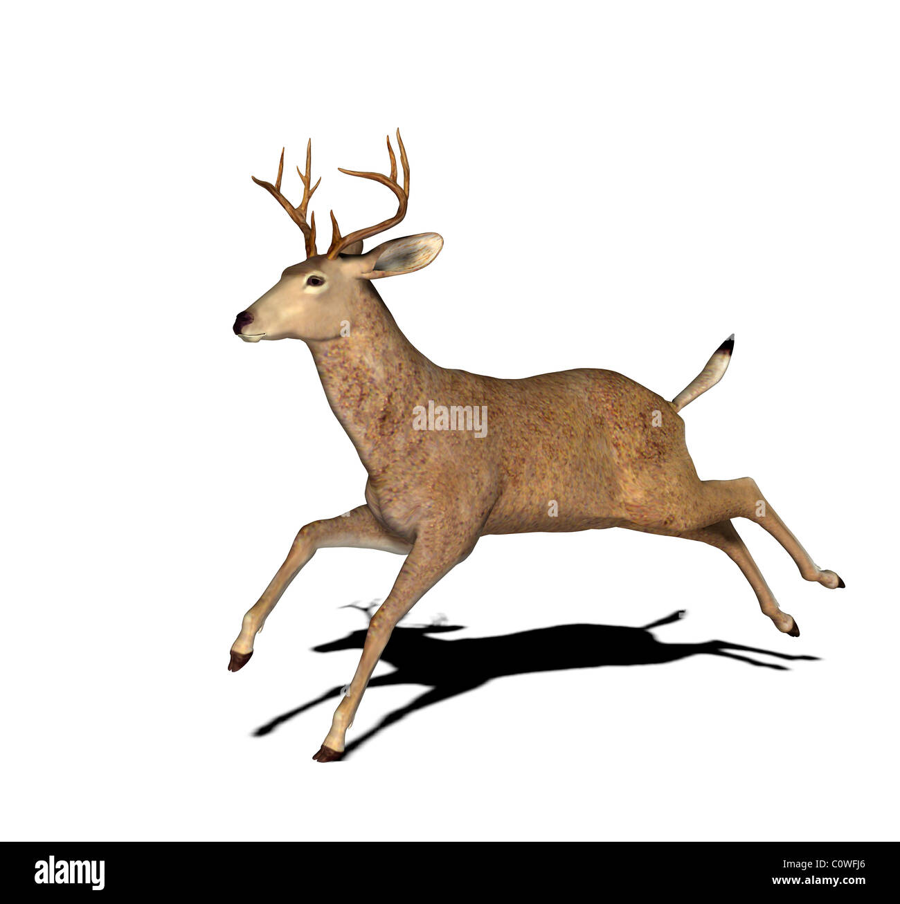 Deer illustration hi-res stock photography and images - Alamy