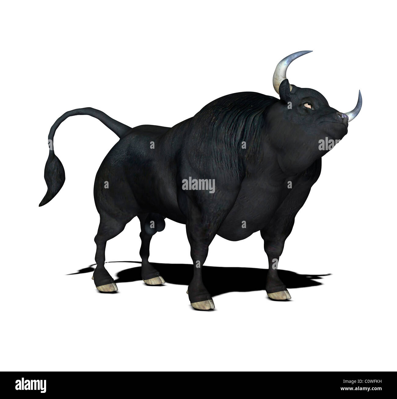 Bull bos taurus Cut Out Stock Images & Pictures - Alamy