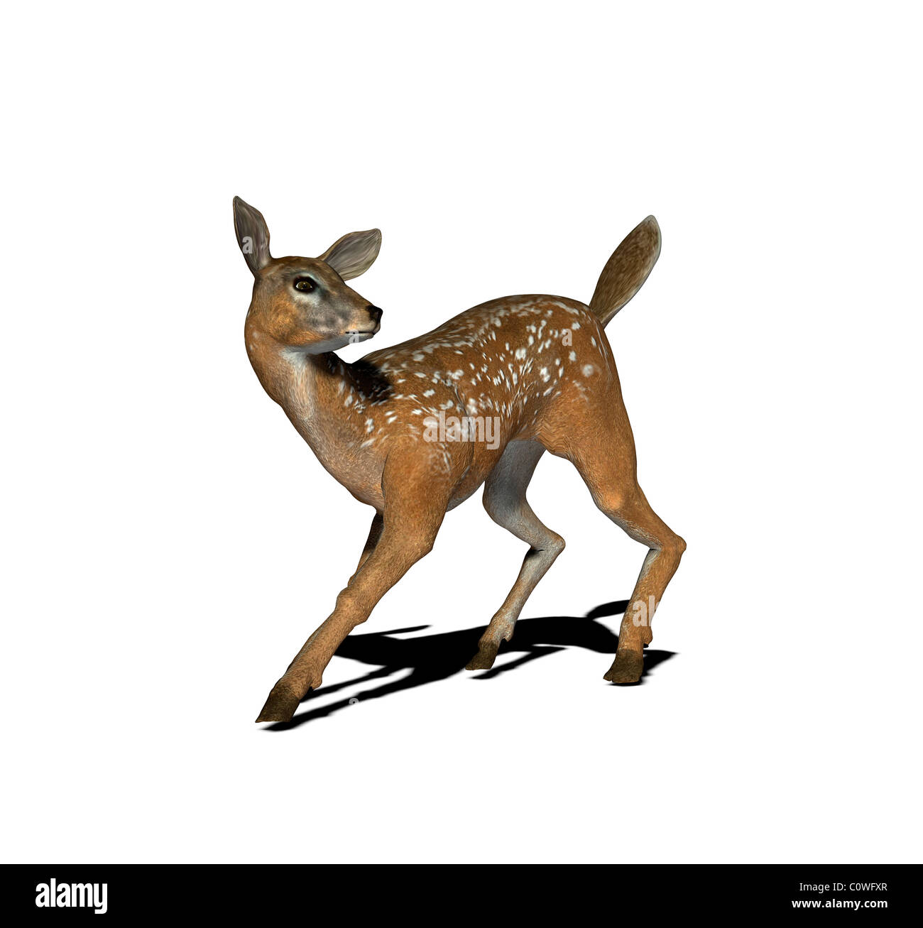 Fawn cutout hi-res stock photography and images - Alamy
