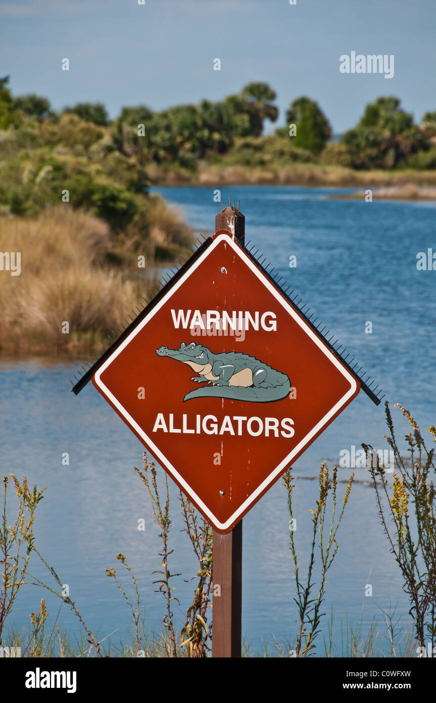 Alligator warning sign with bird control spikes at pond St Marks ...