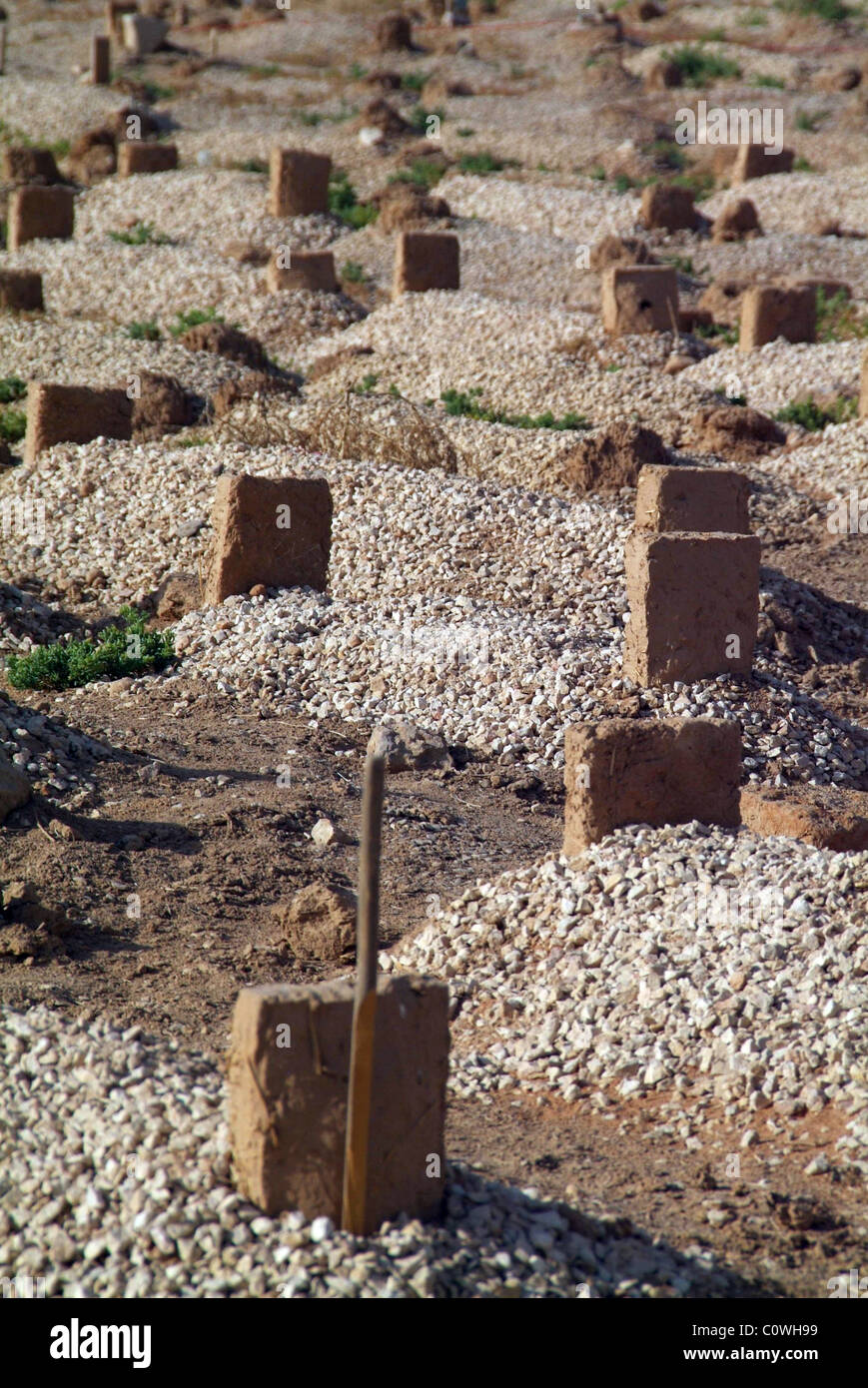 TOMBS OF NORMAL SAUDIS AT THE AL-OUD CEMETERY, UNMARKED AS DONE IN THE ...