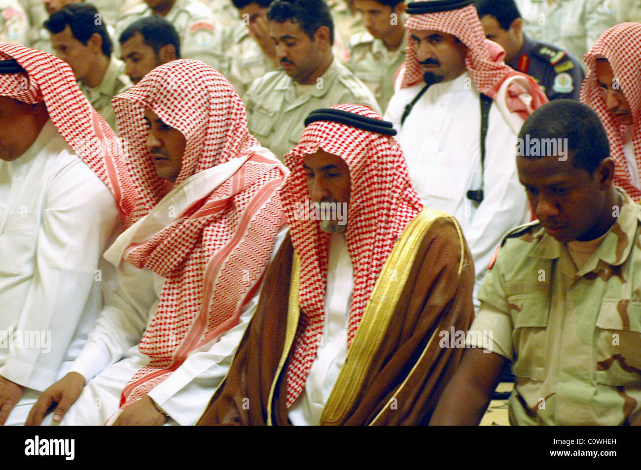 REGIONAL TRIBAL LEADERS, CONSERVATIVE WAHABI SAUDIS AND CLERICS ...