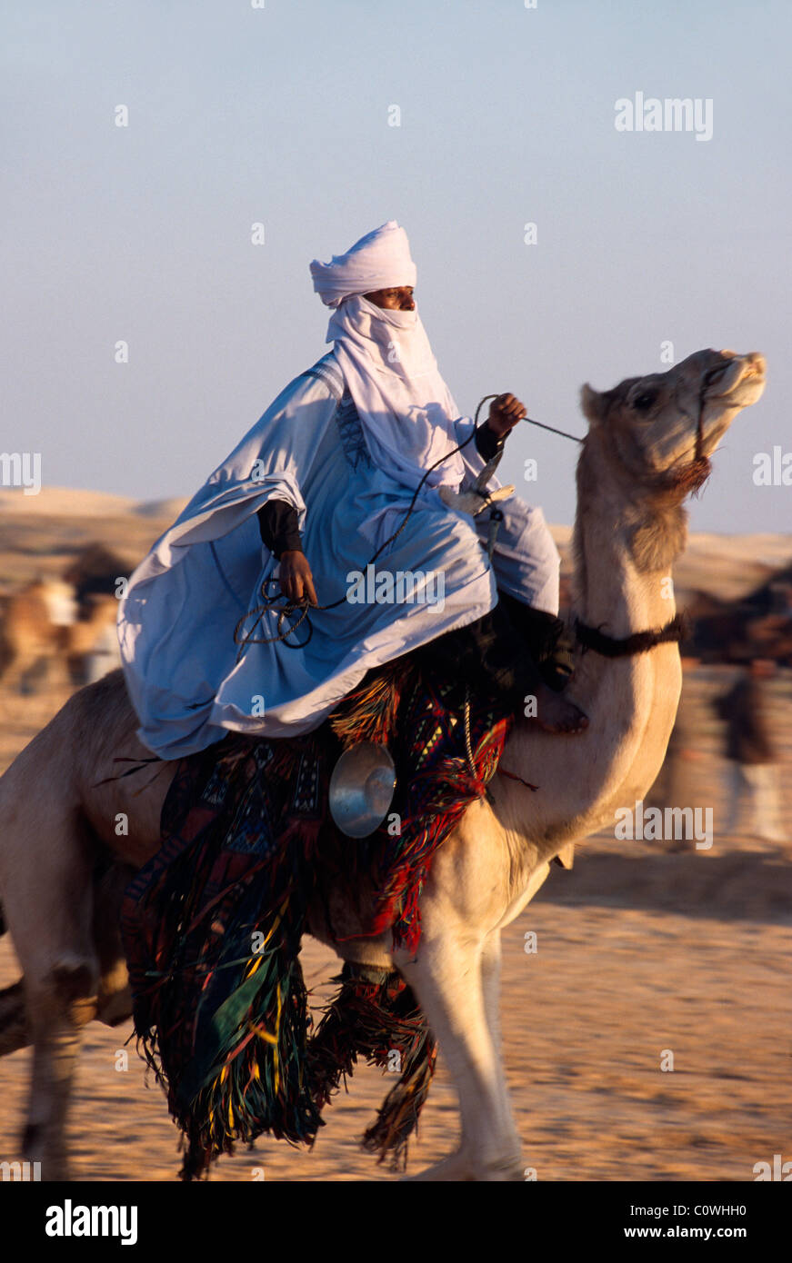 Tuareg people camel hi-res stock photography and images - Alamy