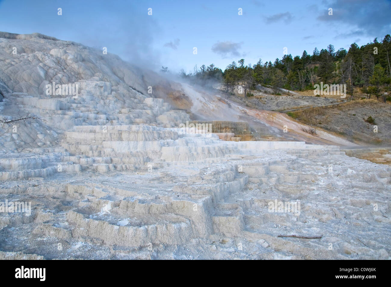 Travertine Terraces, Mammoth Hot Springs, Yellowstone National Park ...