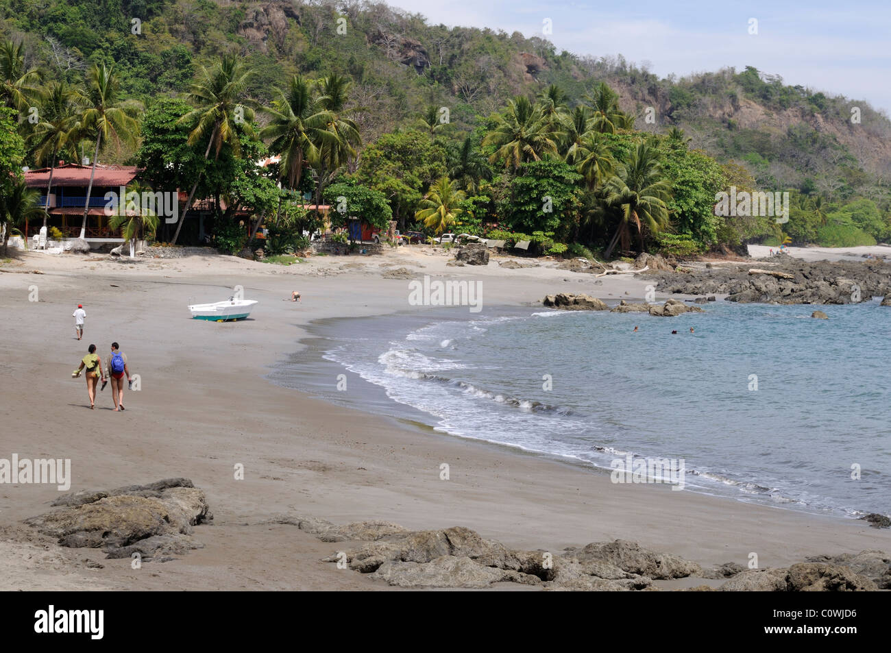 Costa rica montezuma beach palm hi-res stock photography and images - Alamy