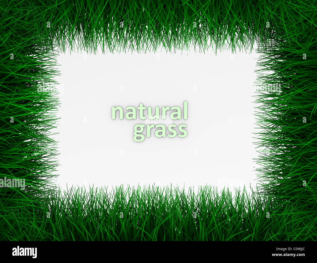 3d illustration, top view grass frame with copy-space Stock Photo - Alamy