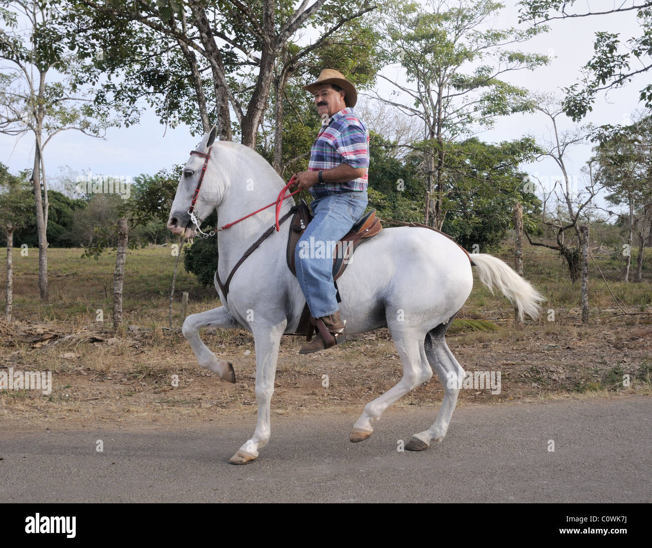 Costa rica horse parade hi-res stock photography and images - Alamy