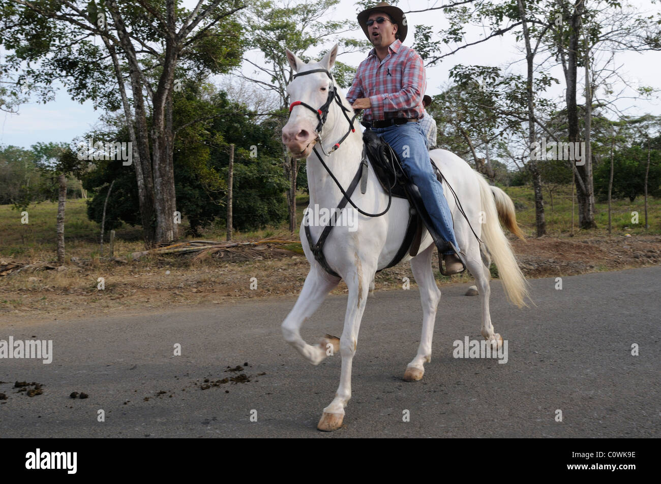 Horseman riding on a white horse Stock Photo - Alamy