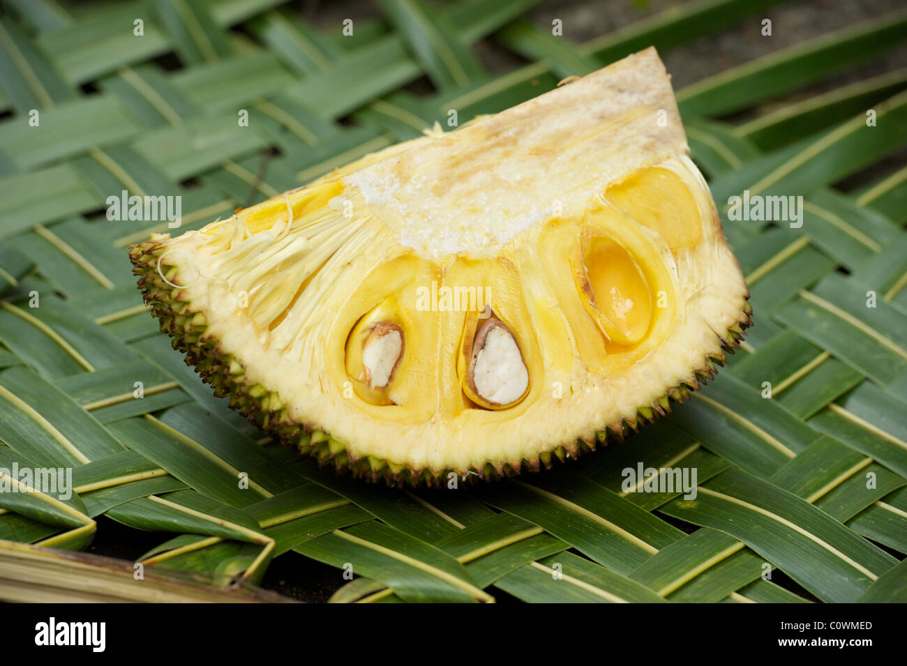 Inside view of a jackfruit, Sri Lanka Stock Photo - Alamy
