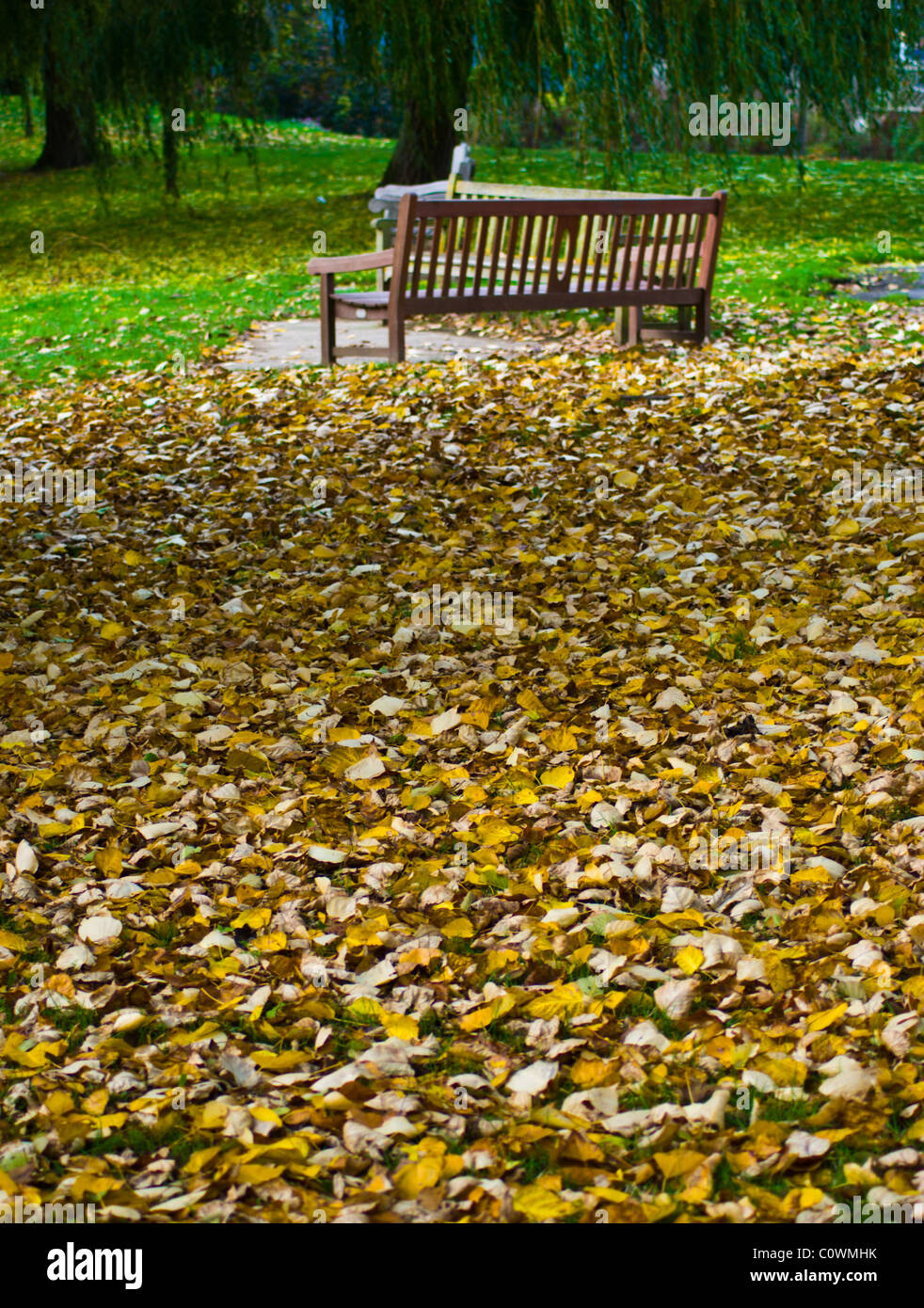 A park bench in autumn Stock Photo - Alamy