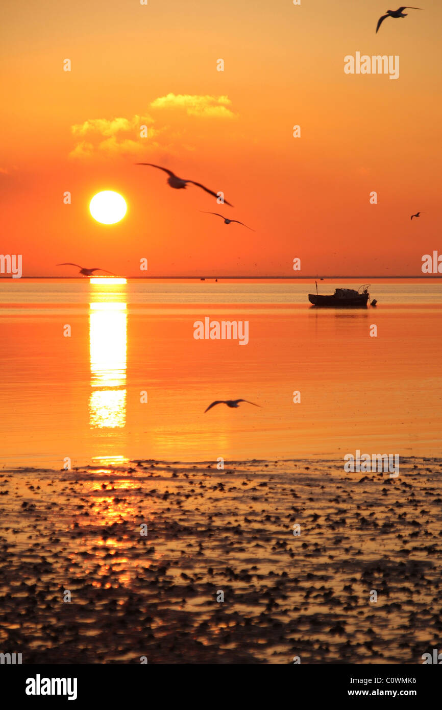 Southend sunset hi-res stock photography and images - Alamy