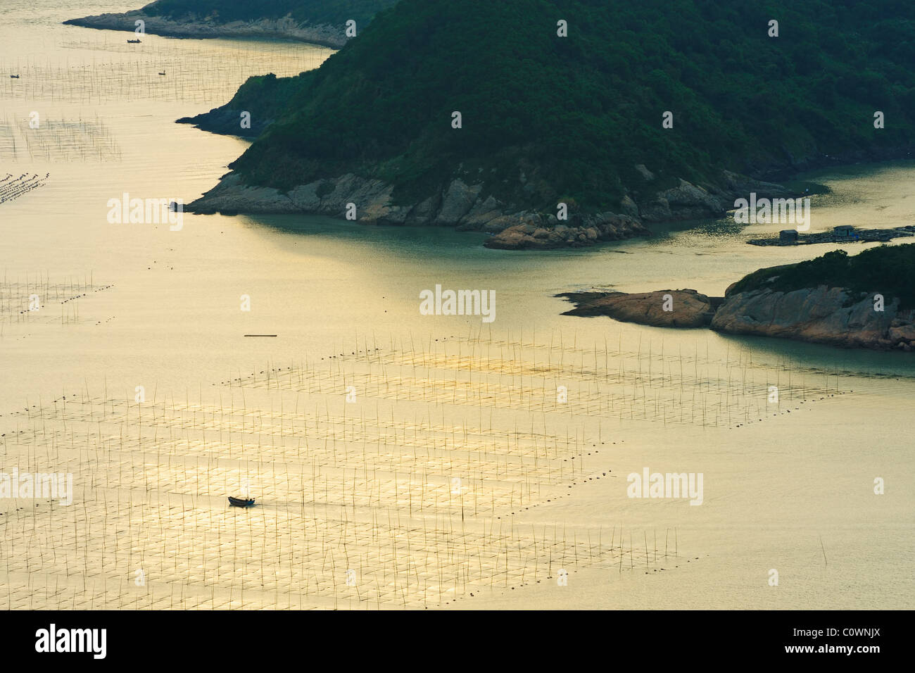 Ocean seaweed farm in Fujian province of China Stock Photo - Alamy