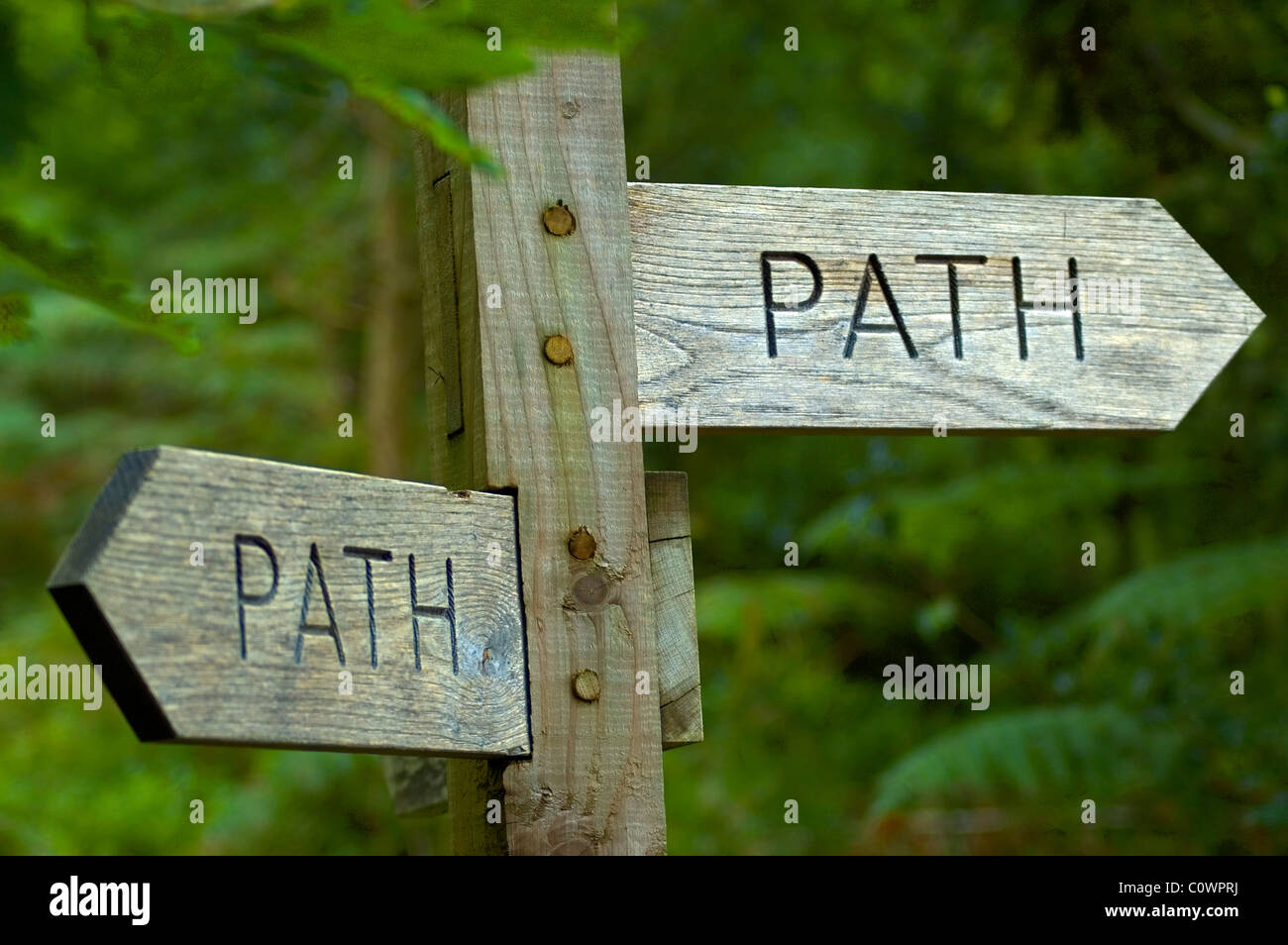 Woodland path signage, Devon, England Stock Photo - Alamy