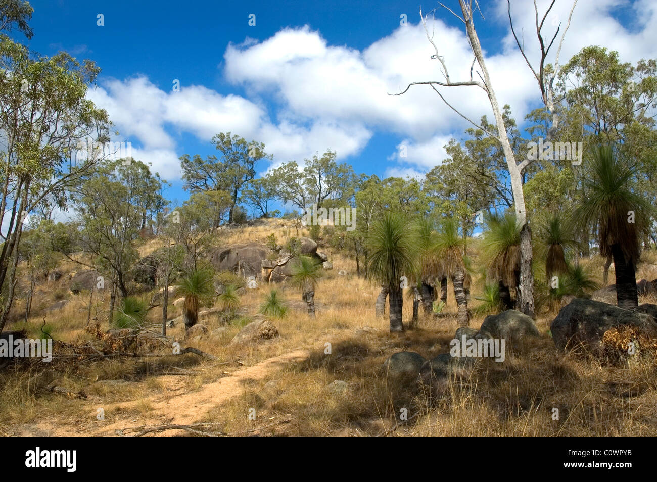 Maidenwell queensland hi-res stock photography and images - Alamy