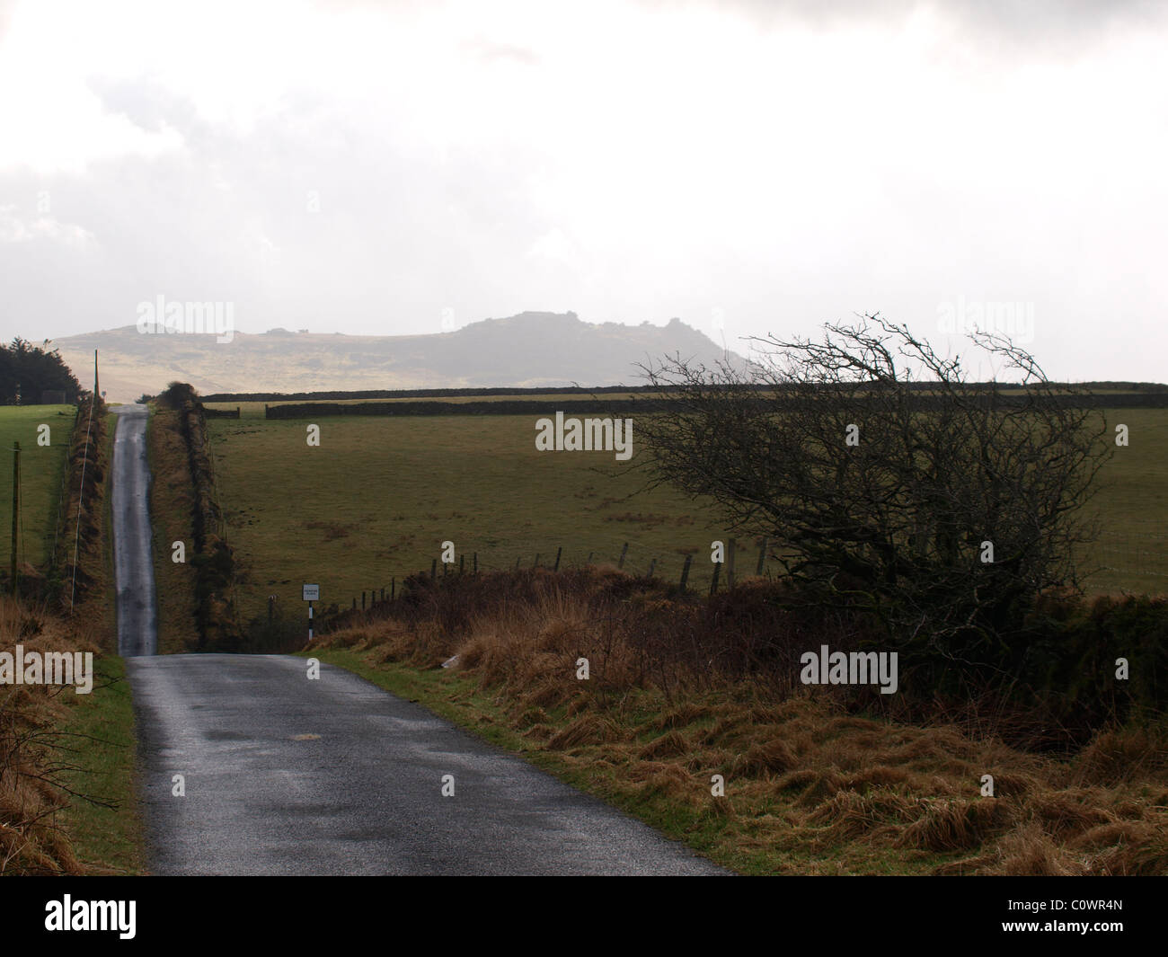 Cornwall country road hi-res stock photography and images - Alamy