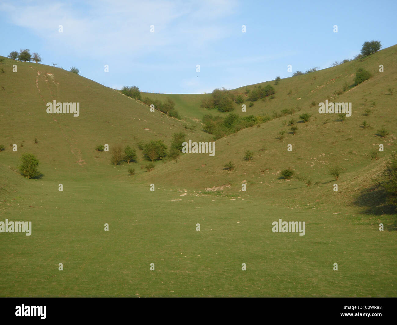 Barton springs hi-res stock photography and images - Alamy