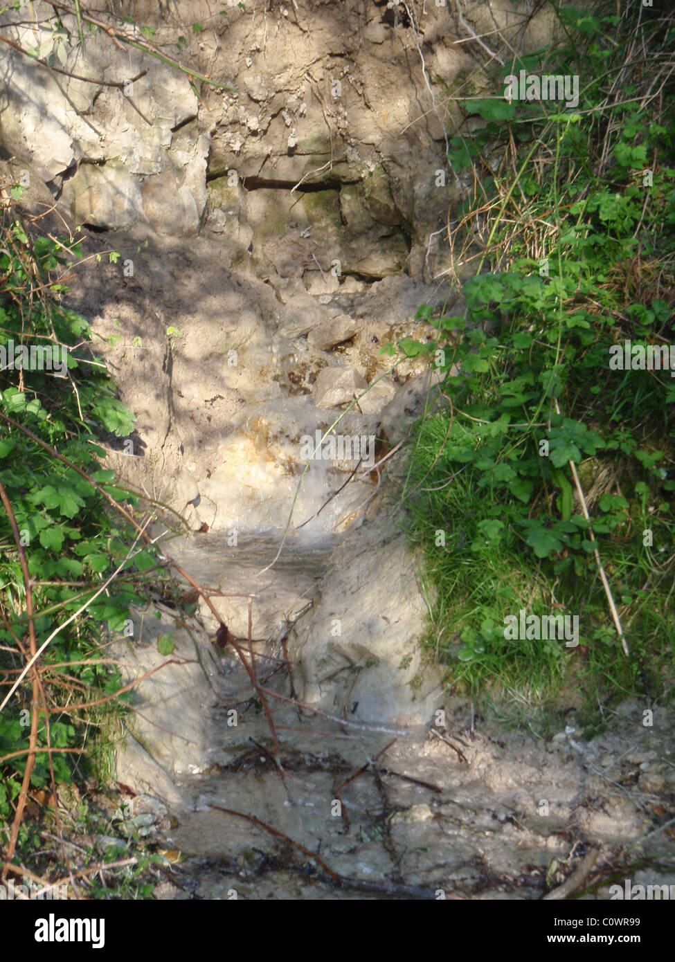 Barton spring hi-res stock photography and images - Alamy