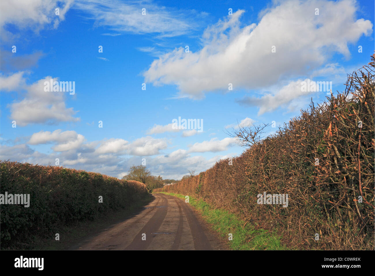 Taverham Norfolk High Resolution Stock Photography and Images - Alamy