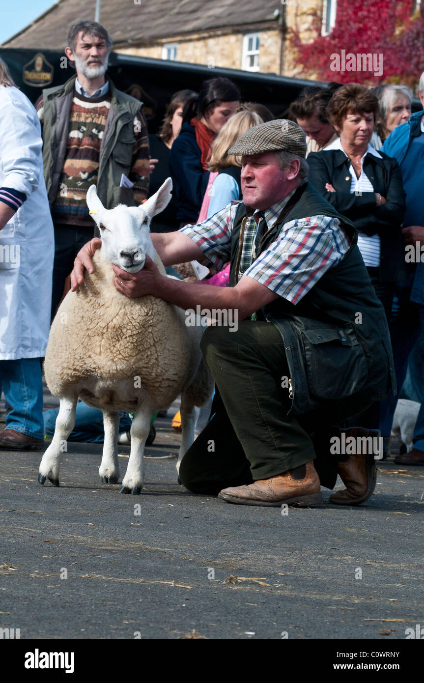 View of Masham Sheep Fair Stock Photo - Alamy