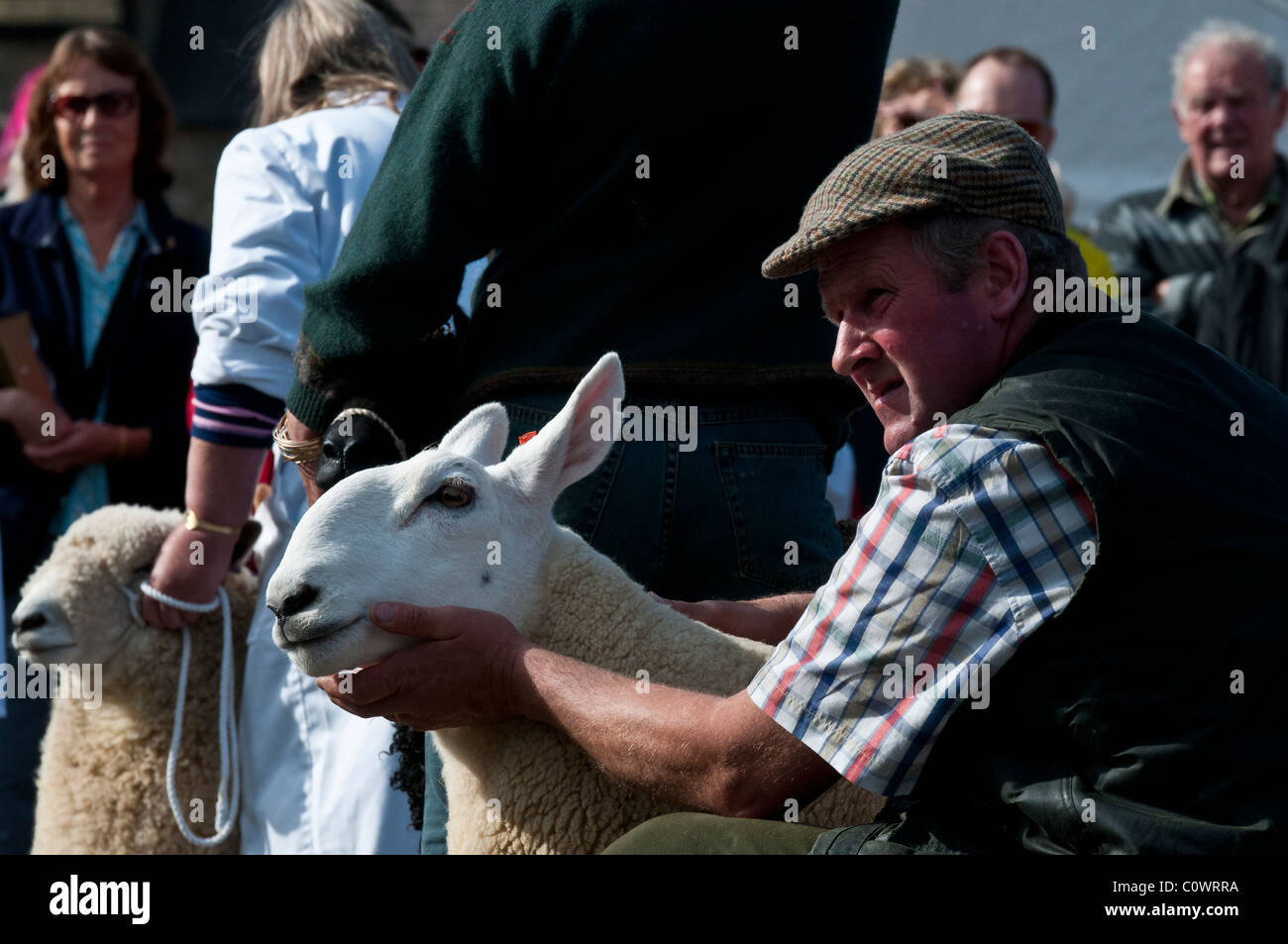 View of Masham Sheep Fair Stock Photo - Alamy