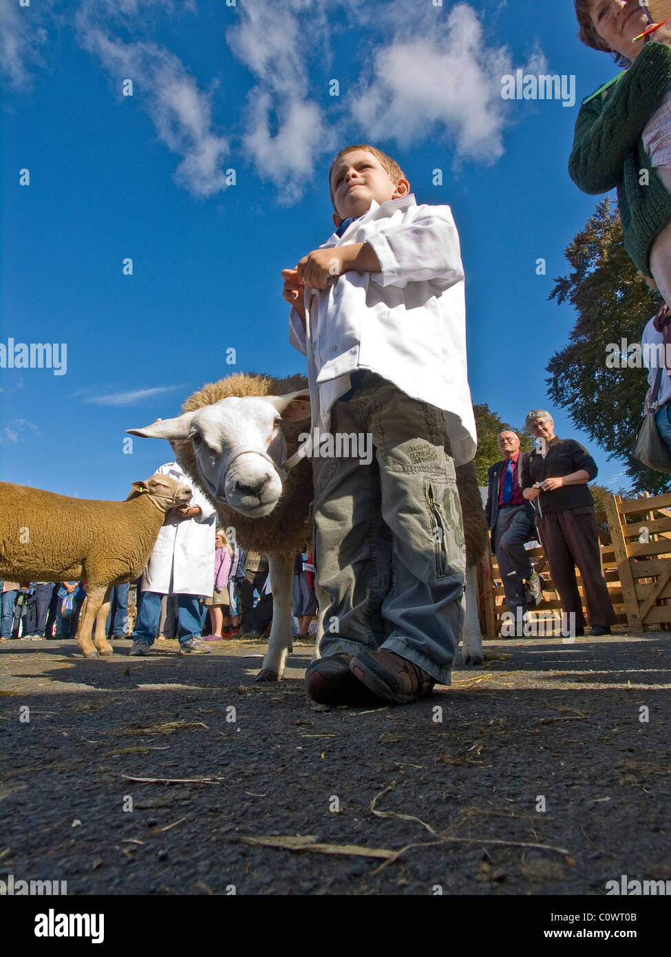 View of Masham Sheep Fair Stock Photo - Alamy