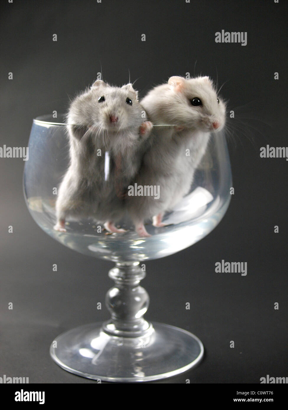 Russian glass hi-res stock photography and images - Alamy