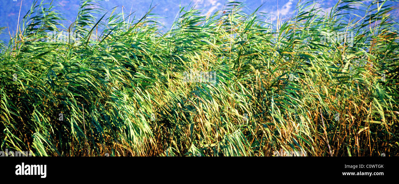 Beds hi-res stock photography and images - Alamy