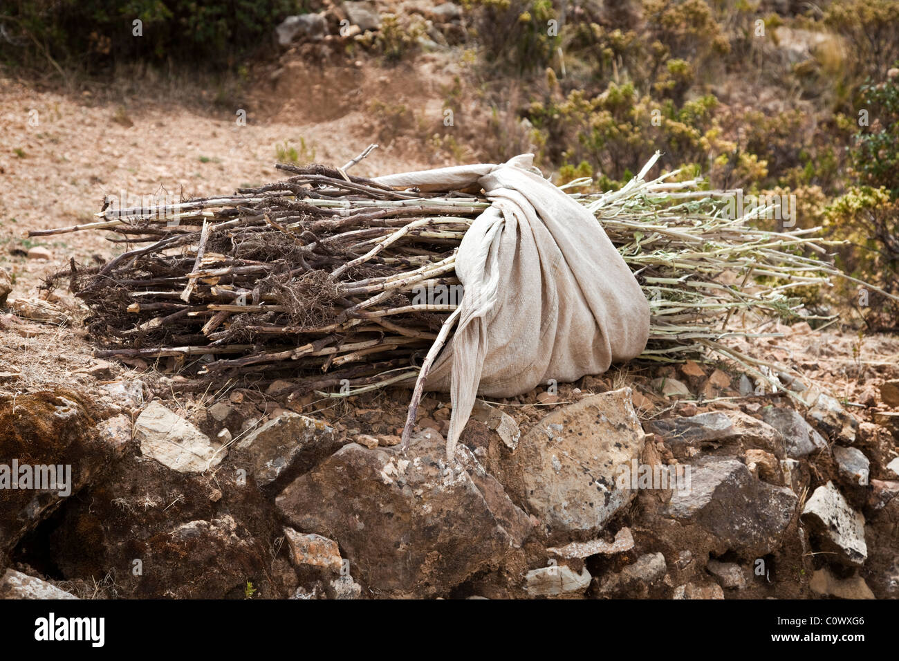 Sticks collected into a cloth on Sun Island, Lake Titicaca, Bolivia ...