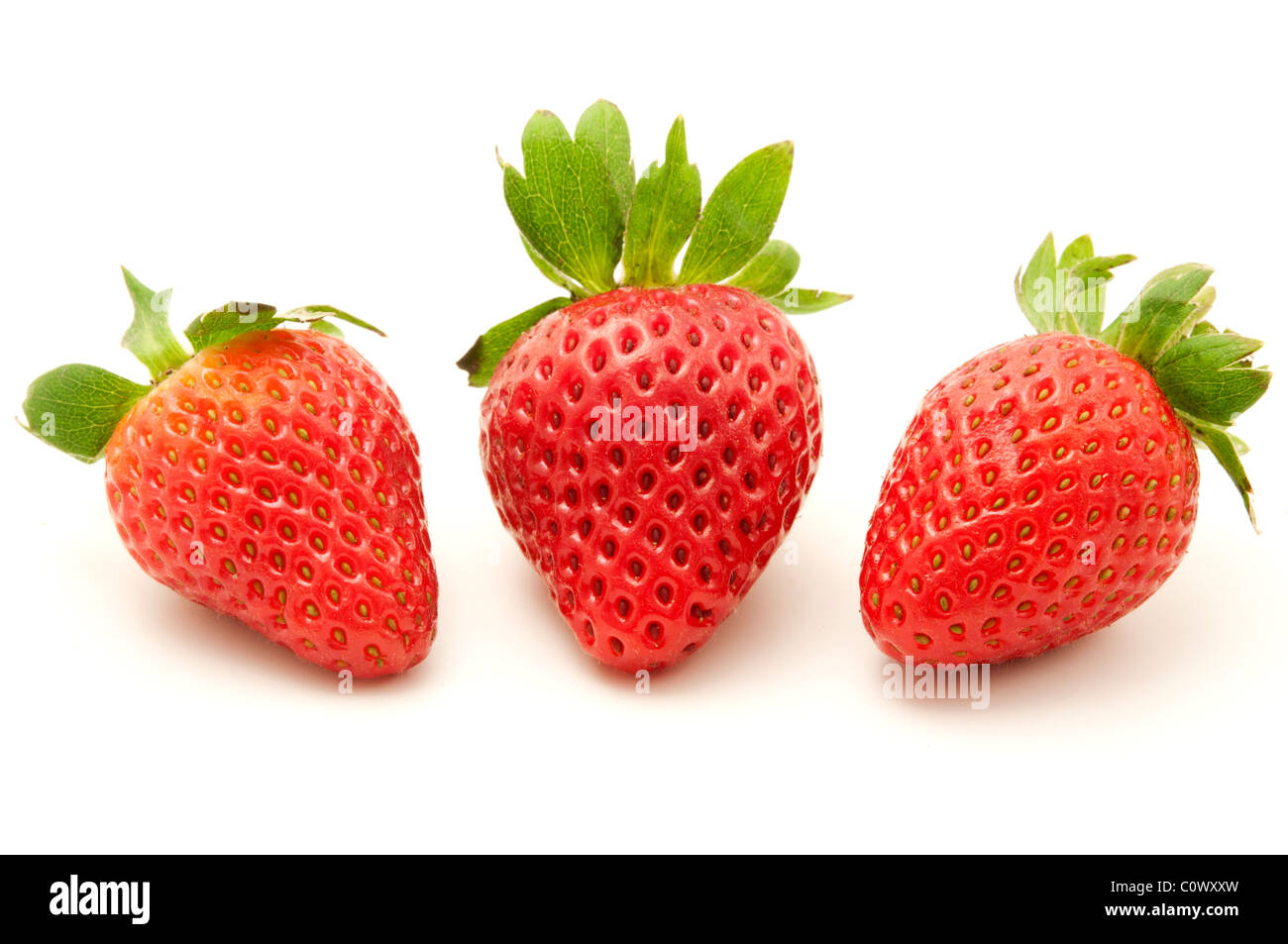Fragaria strawberries hi-res stock photography and images - Alamy