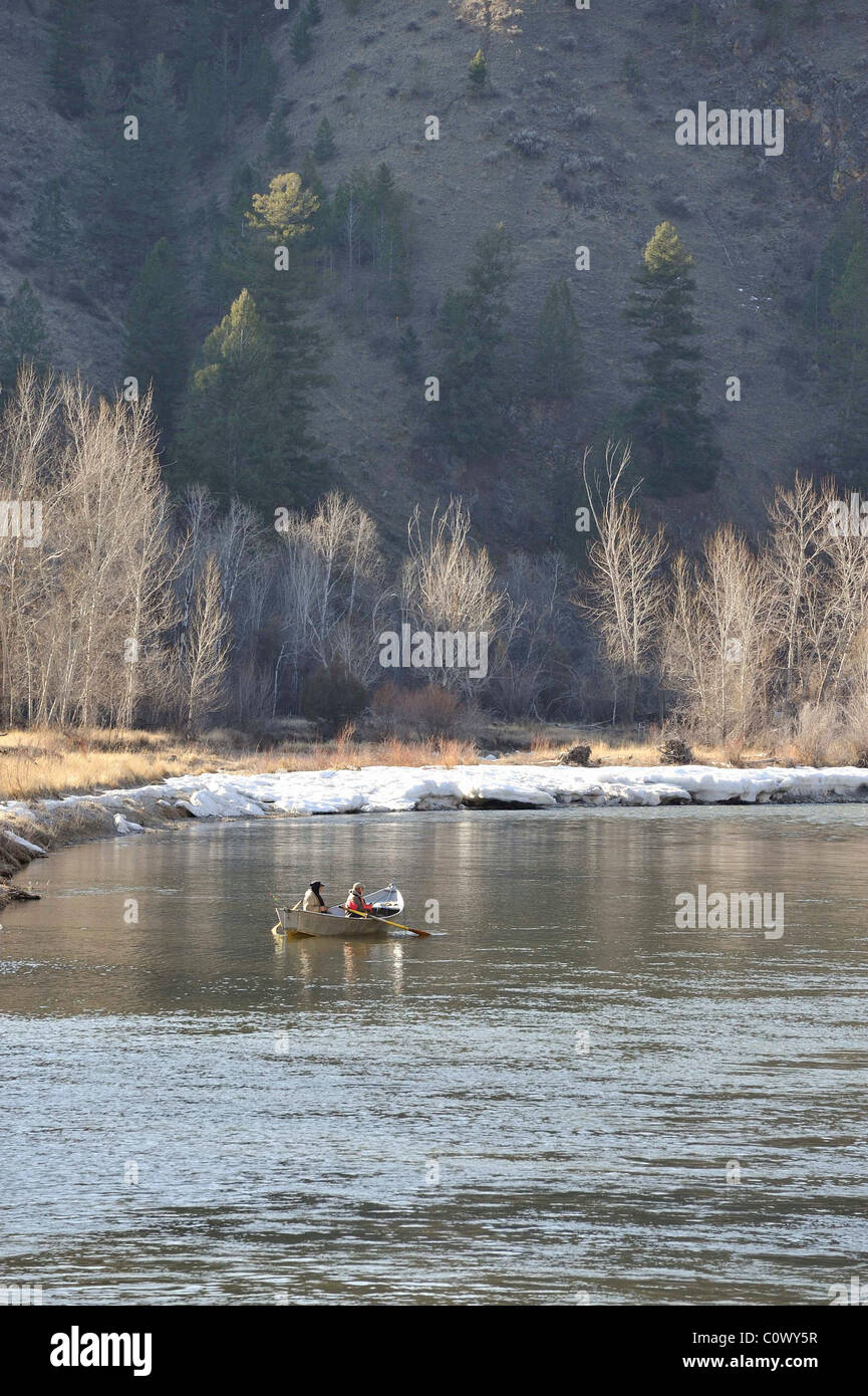 Steelhead trout fish habitat hi-res stock photography and images - Alamy