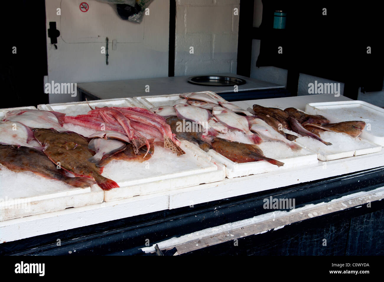 Freshly Caught Fish On A Fish Stall England Stock Photo - Alamy