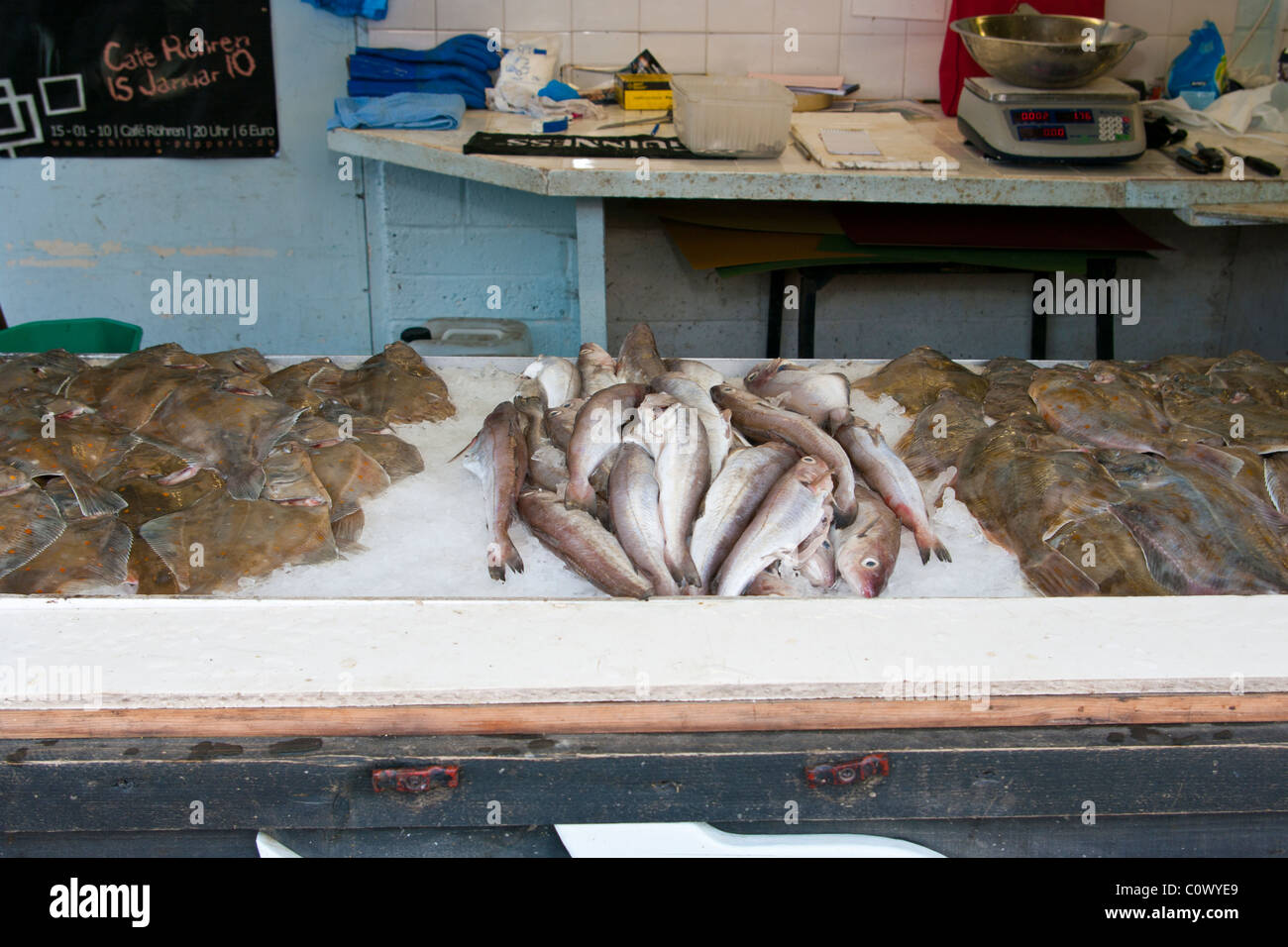 Display fresh fish on fishmongers hi-res stock photography and images ...