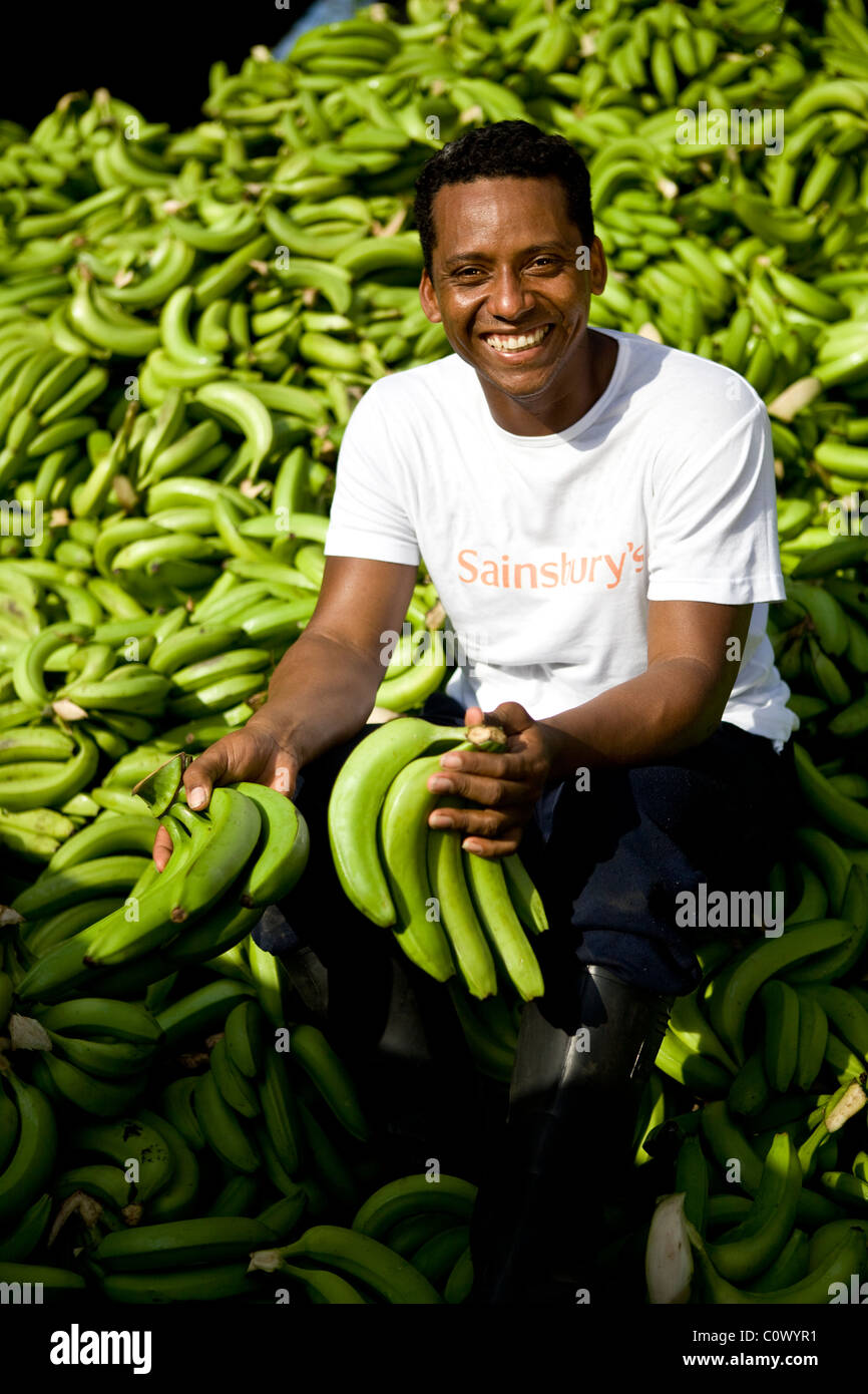 Fairtrade banana worker from Colombia Stock Photo - Alamy