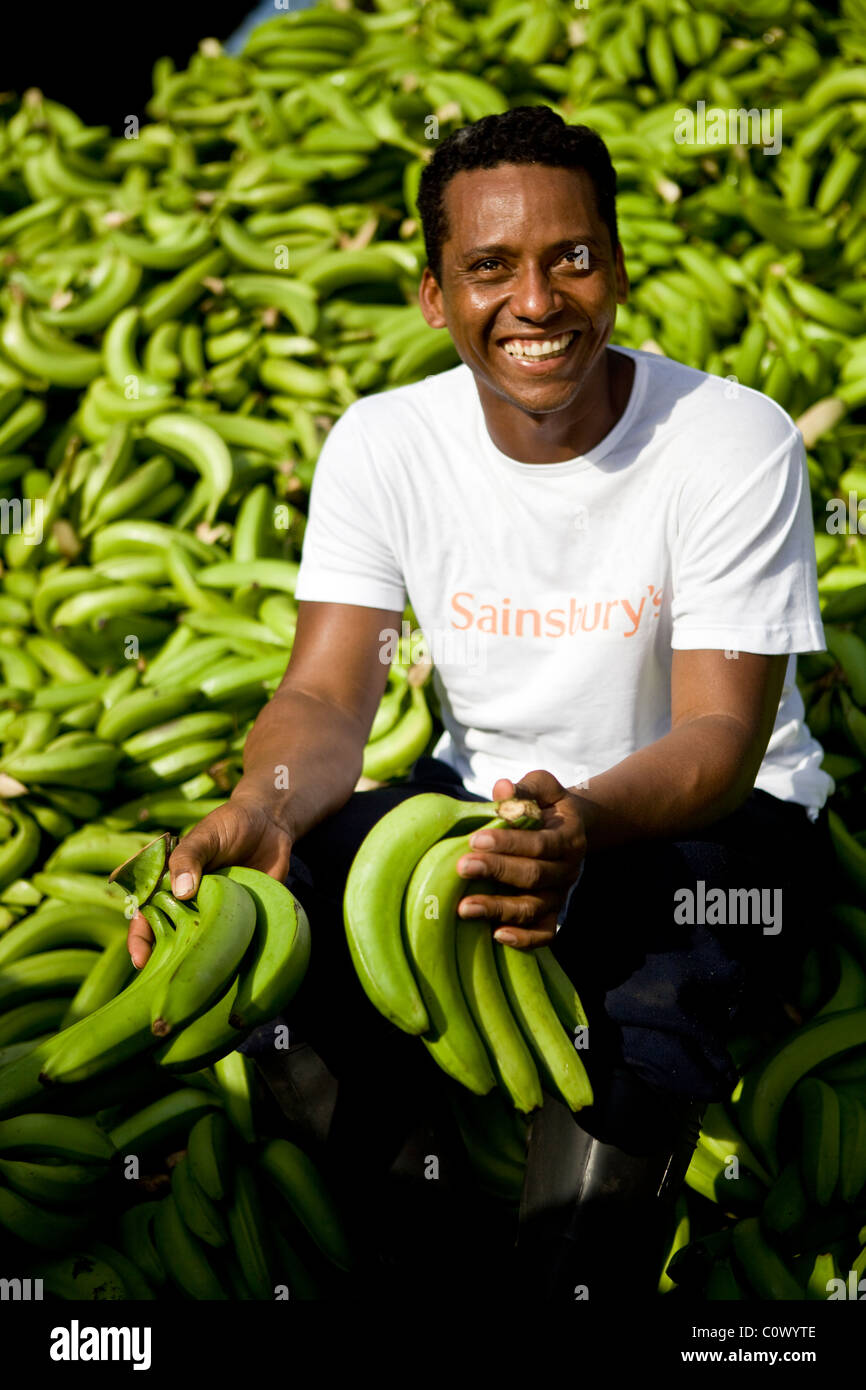 Fairtrade banana worker from Colombia Stock Photo - Alamy
