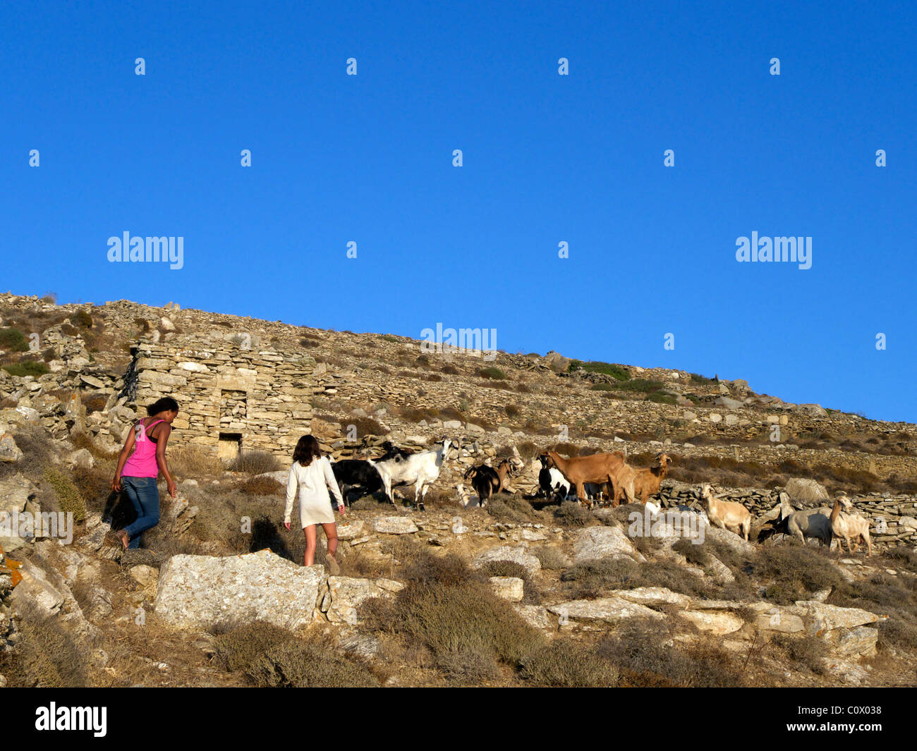 Teen Female Teenager Goat High Resolution Stock Photography and Images ...
