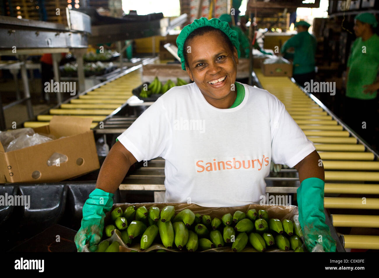 Fairtrade banana worker preparing bananas for export Stock Photo - Alamy