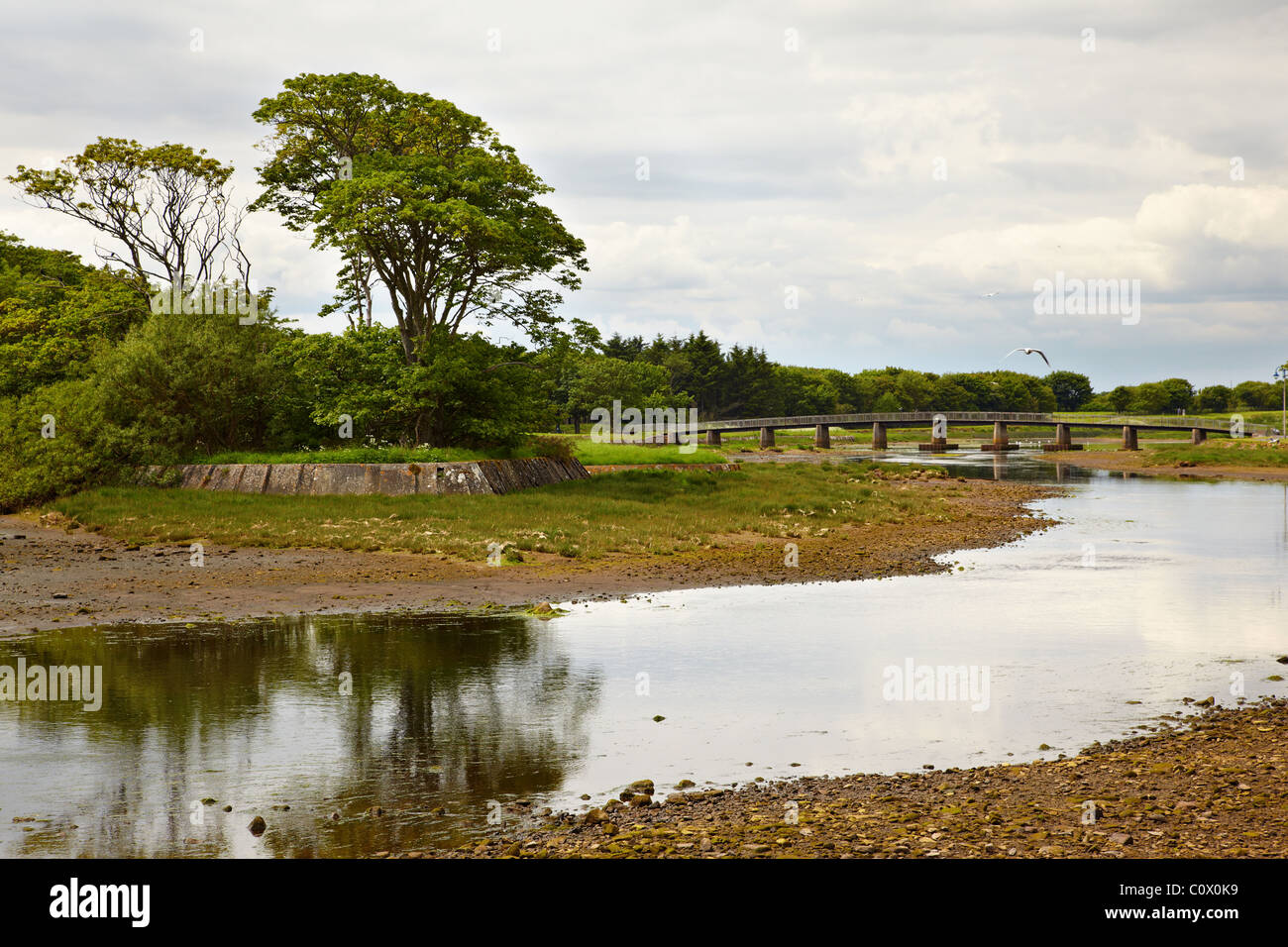 Wick scotland town hi-res stock photography and images - Alamy