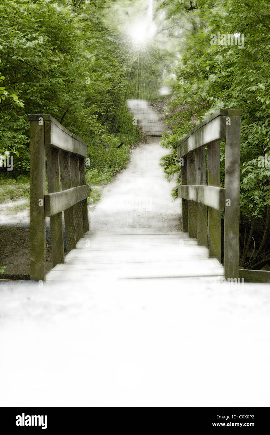 A path leading off into the distance, with beams of light shining ...