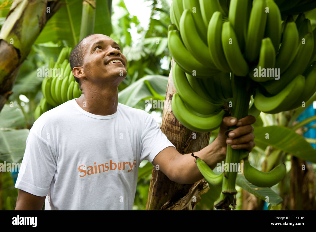 Fairtrade Banana farmer from Colombia Stock Photo - Alamy