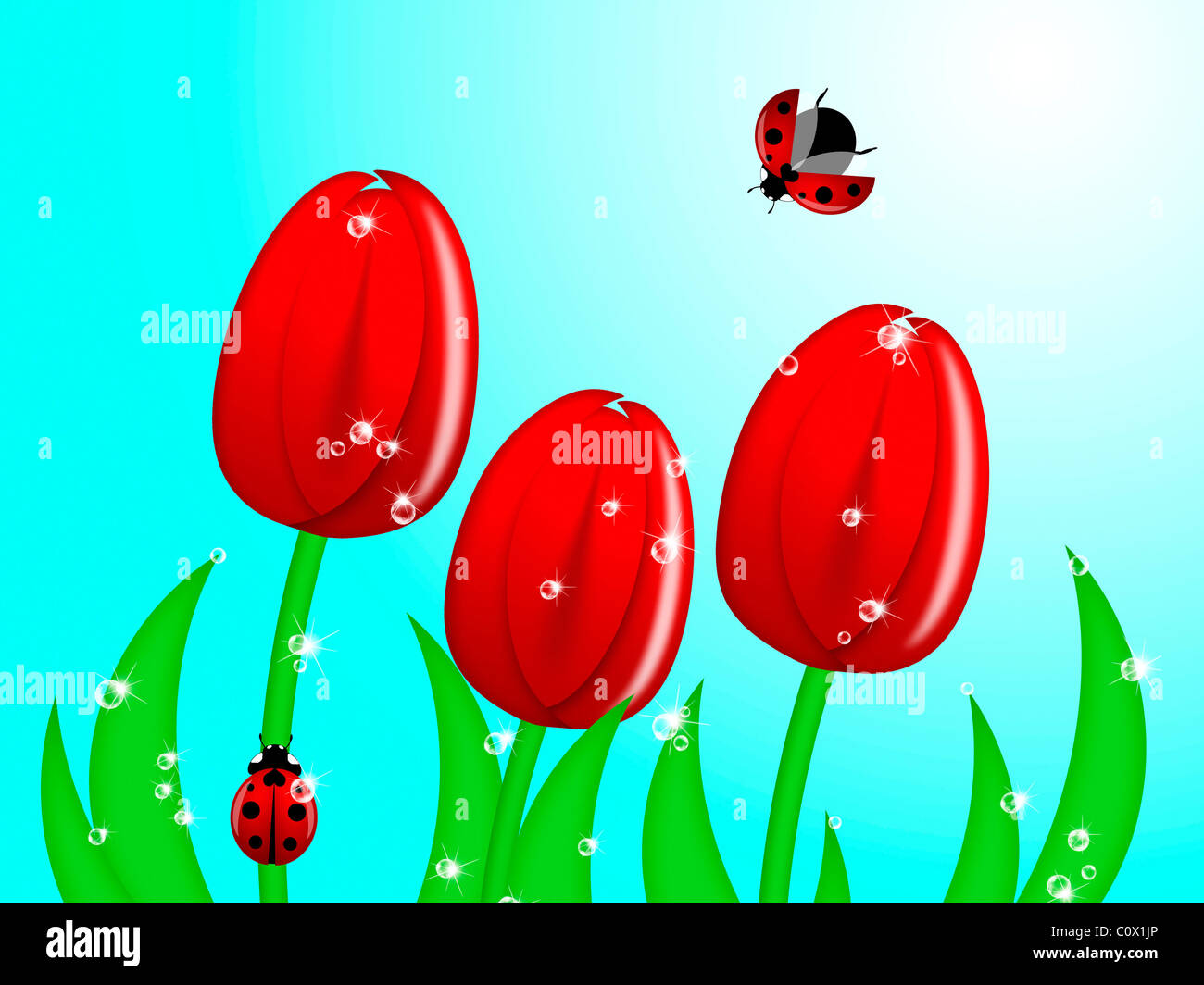 Red Ladybug Climbing Up Tulip Flower Stem Illustration Stock Photo - Alamy