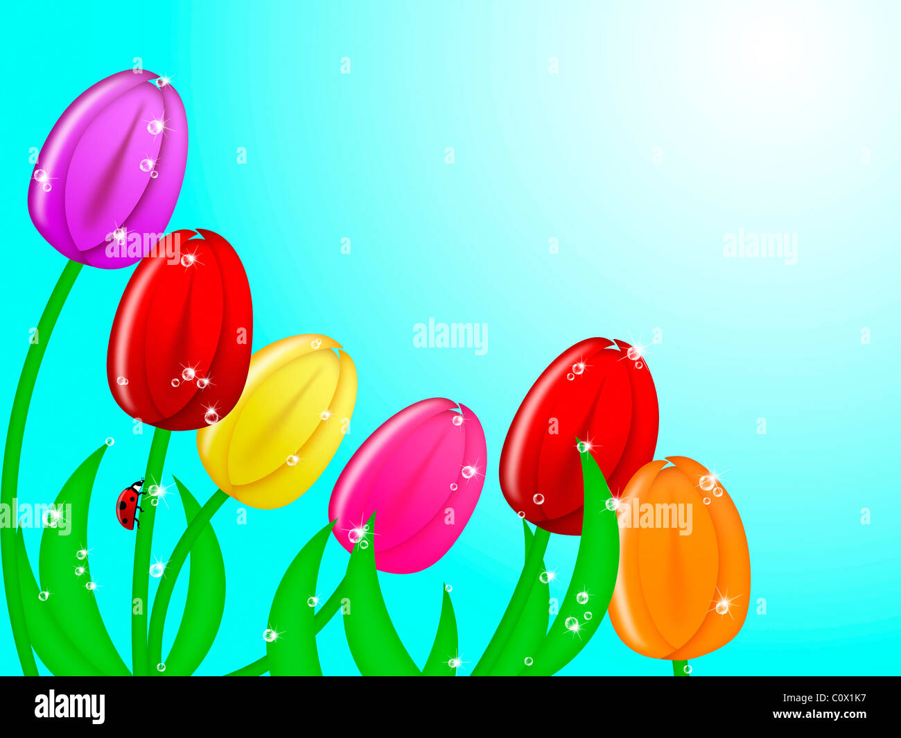 Red Ladybug Climbing Up Tulip Flower Assorted Colors Illustration Stock ...