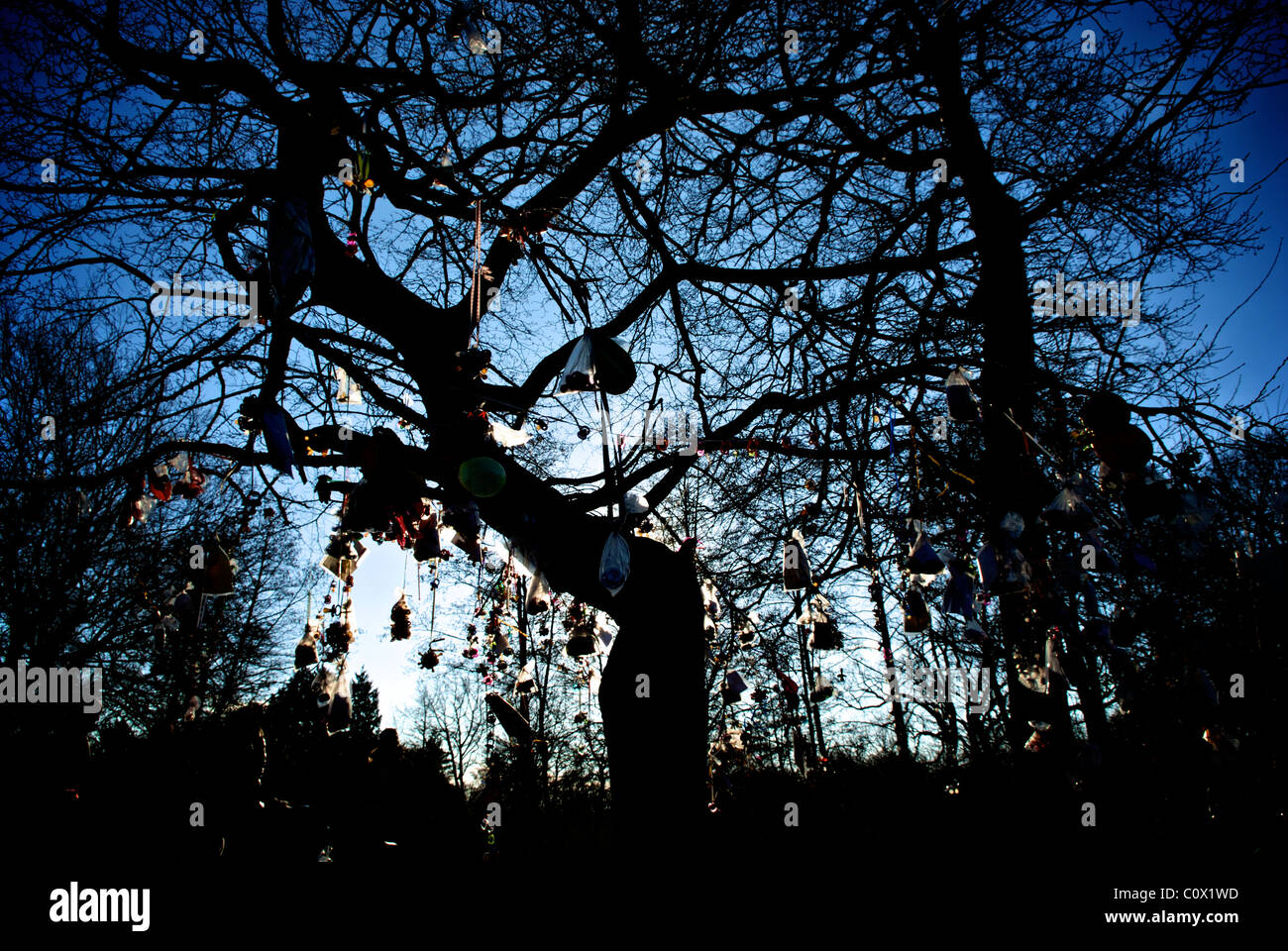 Pacifier branch hi-res stock photography and images - Alamy