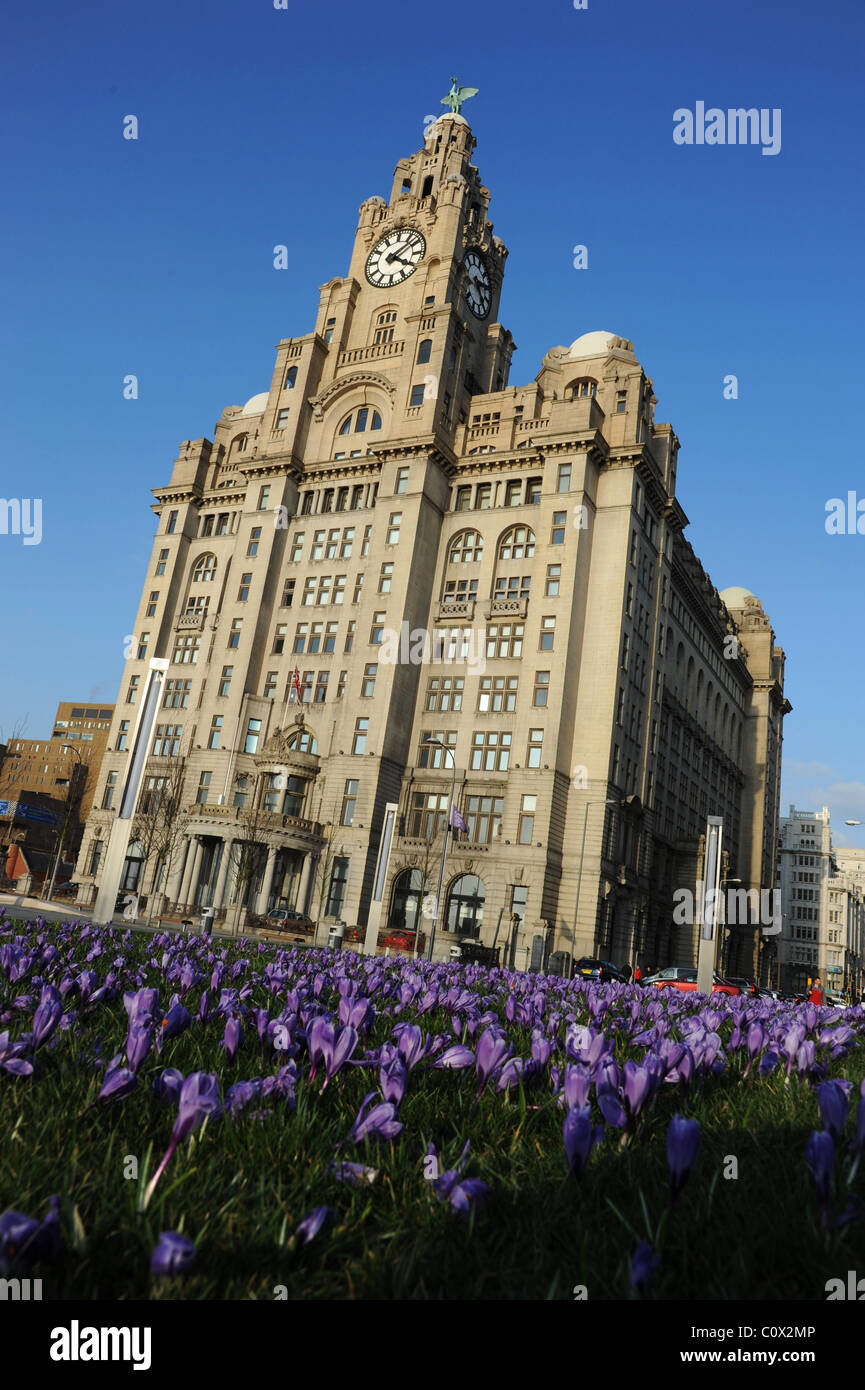 Spring city liverpool hi-res stock photography and images - Alamy