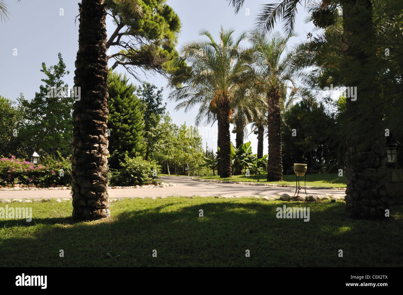 Tropical garden walking way with palms Stock Photo - Alamy